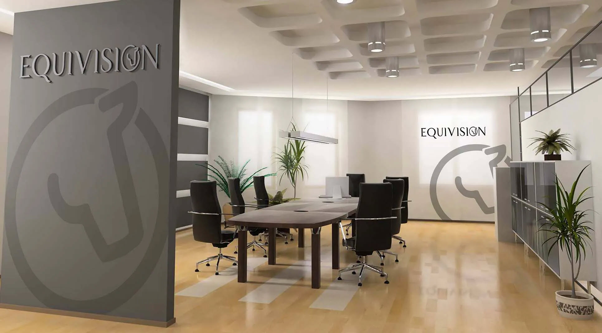 Home [equivisionllc.com]